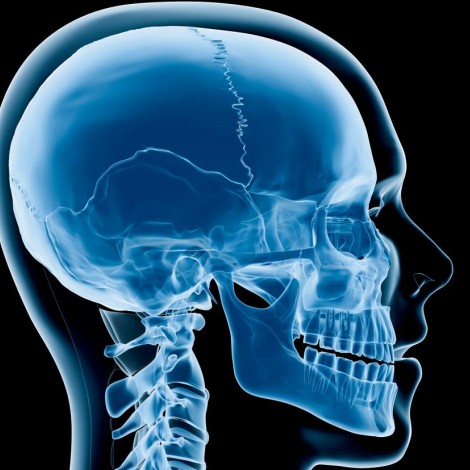 Sections and Programs | Department of Neurology | The University of Chicago
