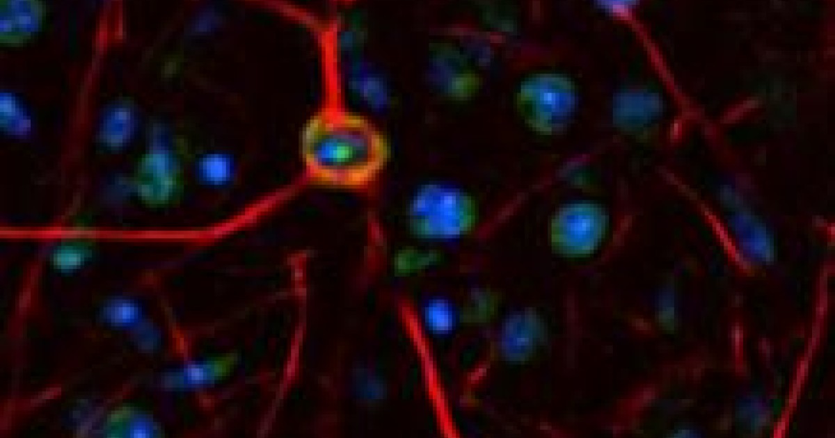 Novel Approaches to In-Field Detection of Intracranial Mass Lesions ...