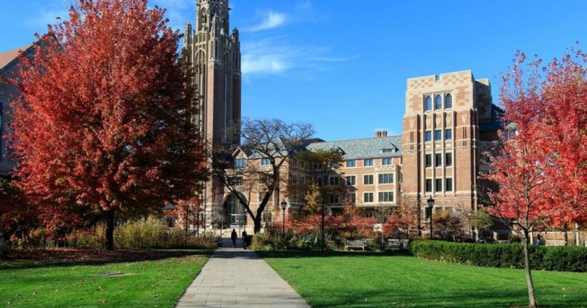 Sections and Programs | Department of Neurology | The University of Chicago