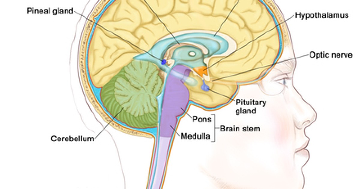 | Department of Neurology | The University of Chicago